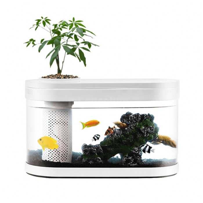 54💬 Отзывов о 10 л Xiaomi Geometry Fish Tank Aquaponics Ecosystem (HF ...